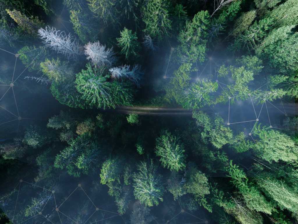 Digital Forestry Archives - Remsoft