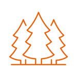 Remsoft Forestry Software for Intelligent Planning | Remsoft