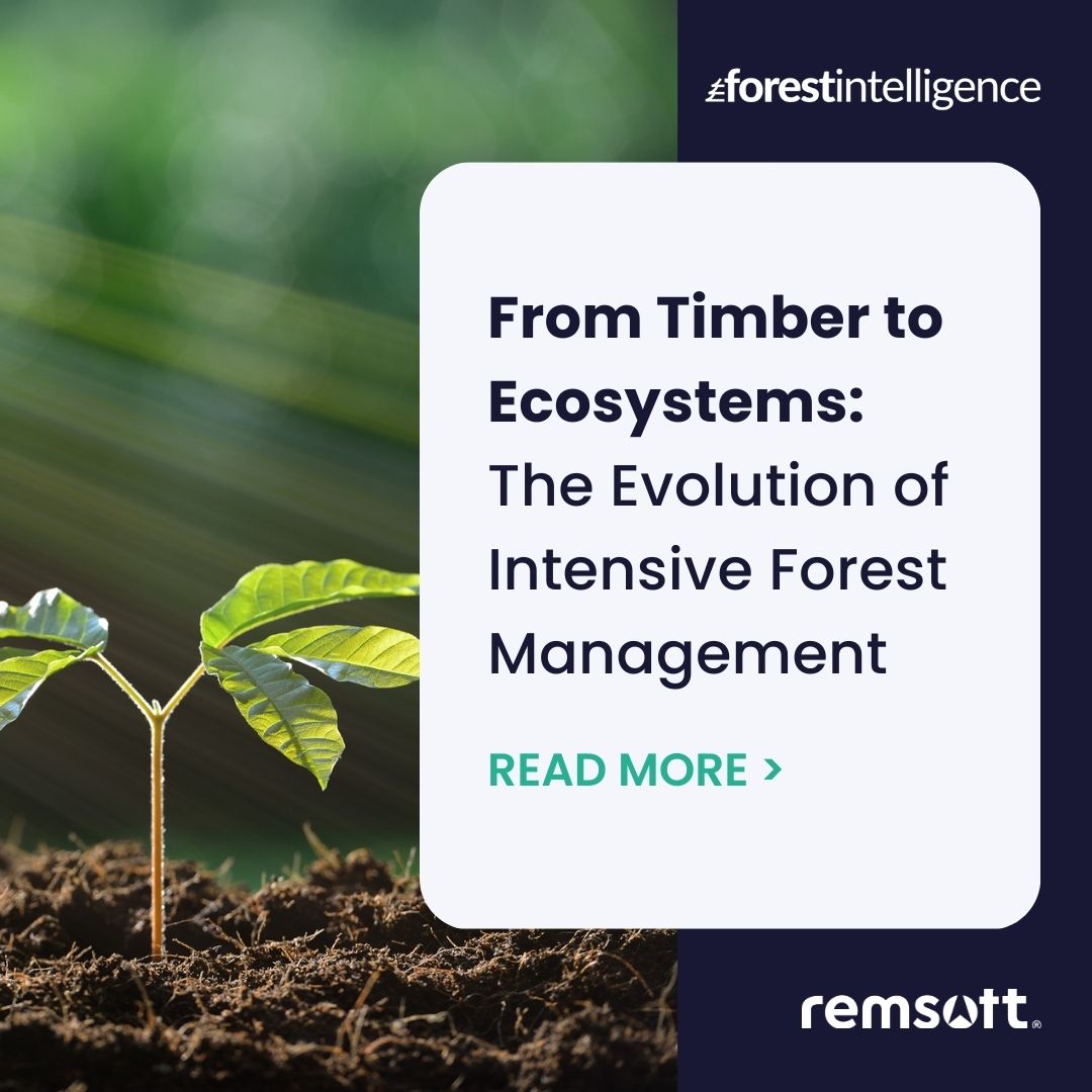 From Timber to Ecosystems: The Evolution of Intensive Forest Management - Remsoft