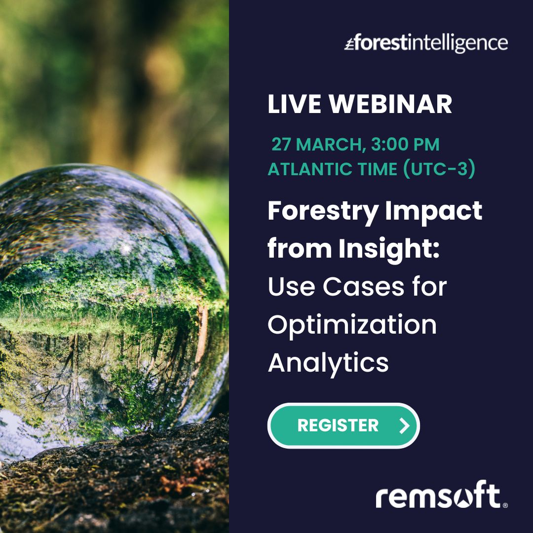 Forestry Impact from Insight: Use Cases for Optimization | Webinar